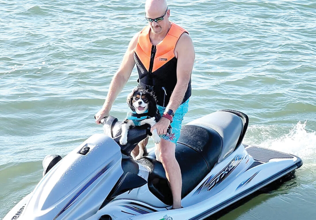 Diamonds in the Ruff: Man and dog raising money for no-kill animal ...
